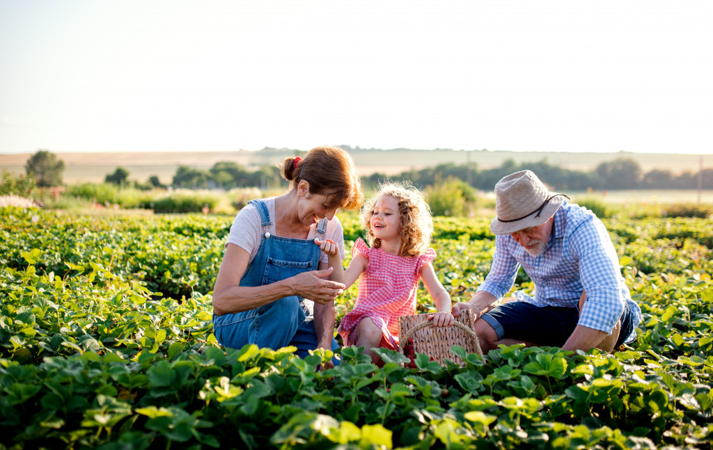 A Guide on Starting a Family-Owned Agriculture Business - Family Badge